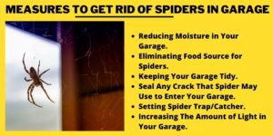 How To Get Rid Of Spiders In Garage: 9 Easy Ways - Garage Expert